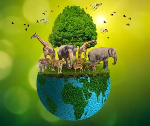 Sustainable Development Matters for Animals Too | PIM MARTENS